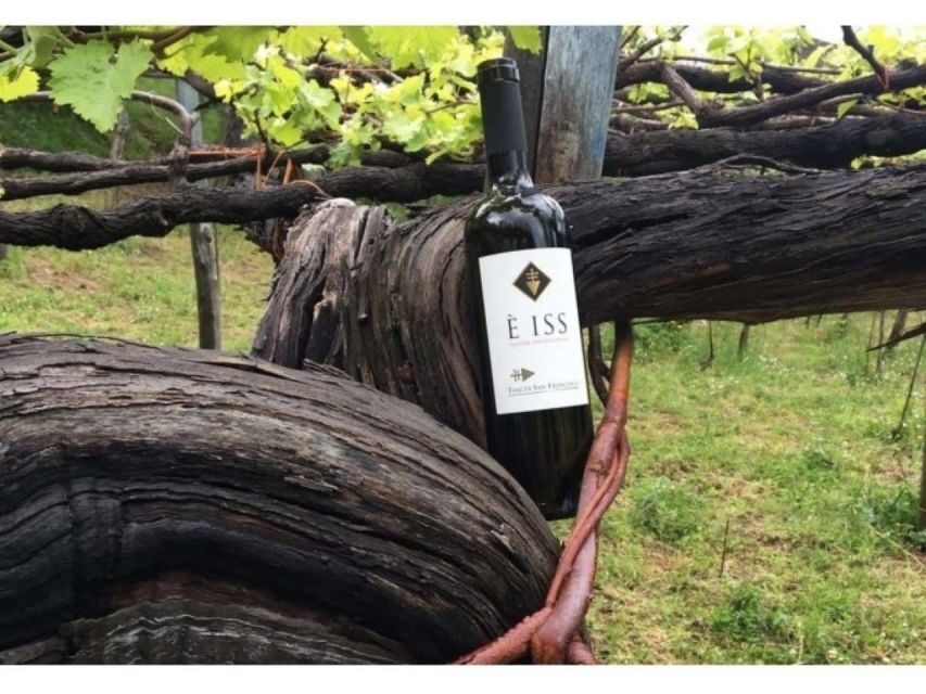 Tramonti: Tenuta San Francesco Wine Tasting