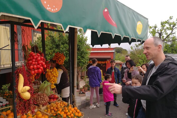 Transfer also for disabled Naples / Sorrento / Amalfi Coast - What to Expect from This Transfer Service