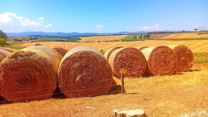 Transfer Siena-Florence with visit to Chianti and tasting