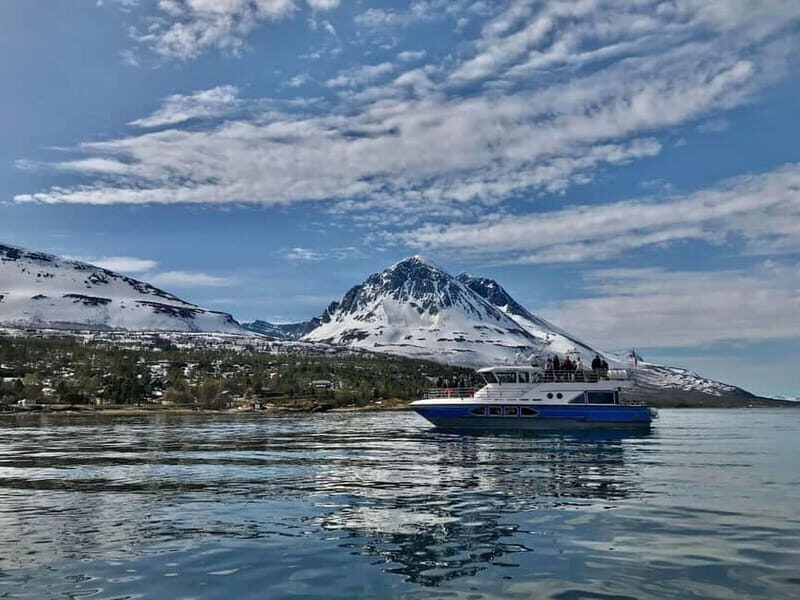 Tromsø: 2-Hour Island Tour Cruise with Snacks and Drinks - Value for Money and Practical Tips