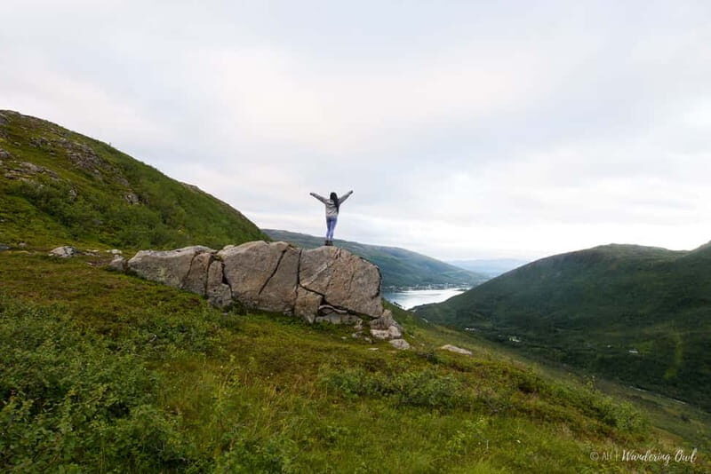 Tromsø: Express Summer Day Hike in the wilderness