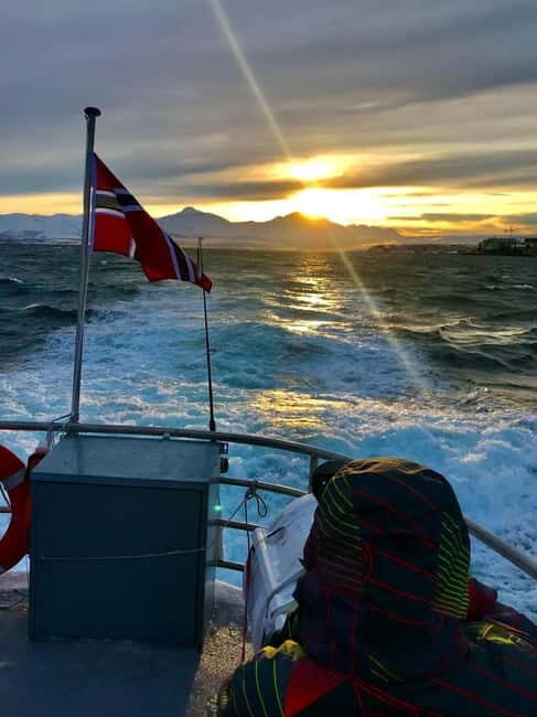 Tromsø: Midnight Sightseeing Cruise All-inclusive - The Itinerary: A Closer Look at Each Stop