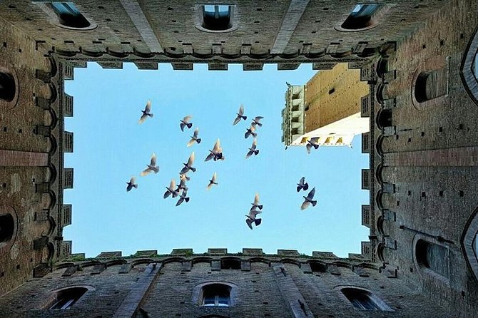 Tuscany Countryside including Wine Tasting & Lunch - Private Day Trip from Rome - Key Points