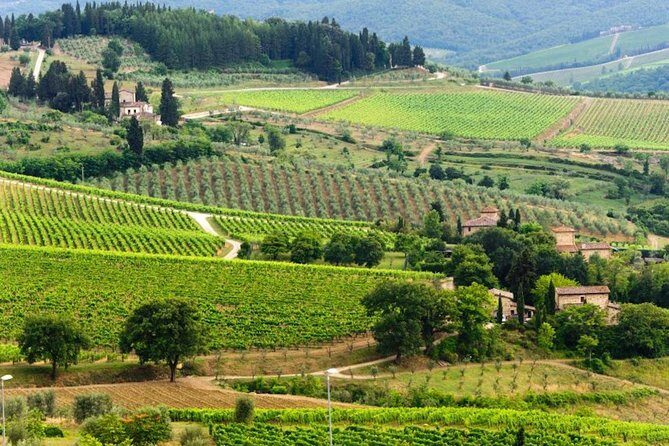Two days of Tuscany discovering the Nobile, Brunello, Chianti area