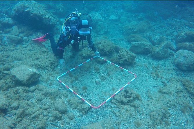 Underwater Archaeology Course - The Sum Up: Is This the Right Adventure for You?