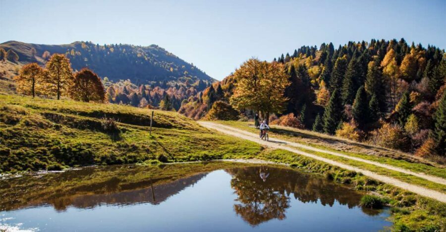 Valdobbiadene: Guided E-Bike Tour in Prosecco Hills