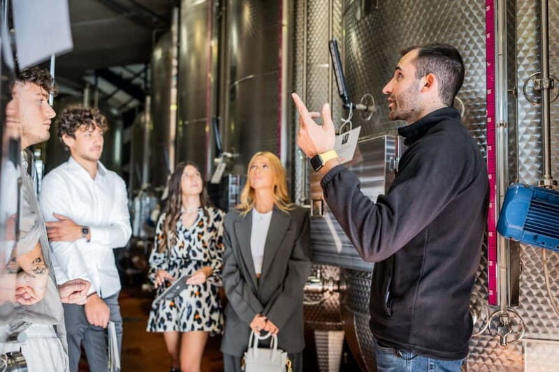 Valdobbiadene Guided tour of the winery & Tasting of 4 Wines