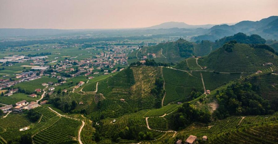 Valdobbiadene: Prosecco private tour & taste with Sommelier