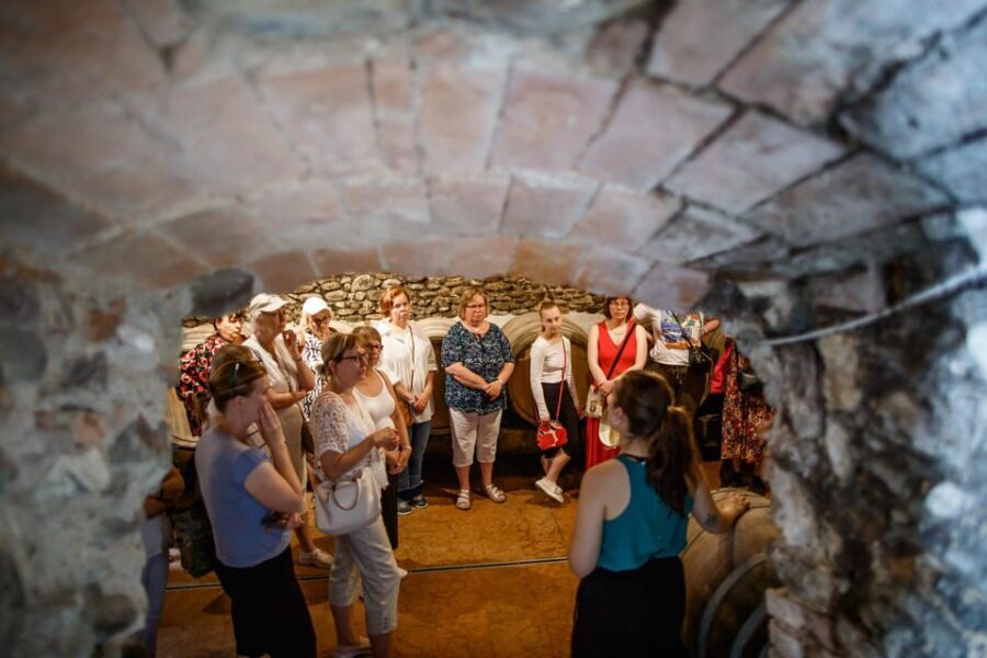 Valeggio: Summer Sips - 3 young wines with guided winery tour.