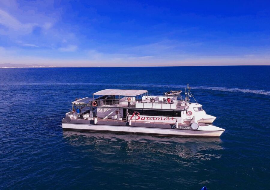Valencia: Catamaran Cruise with Stop for Swimming