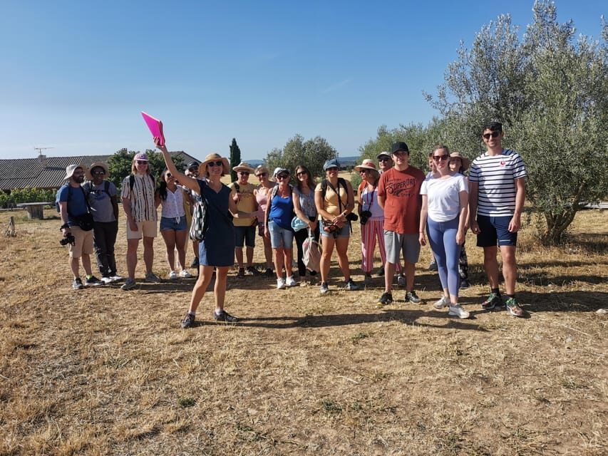 Valensole : Visit of a winery and lavender farm
