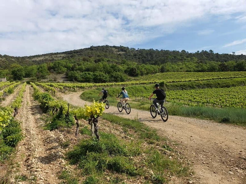 Vallon-Pont-d'Arc: Electric Bike Wine Tour & Tasting