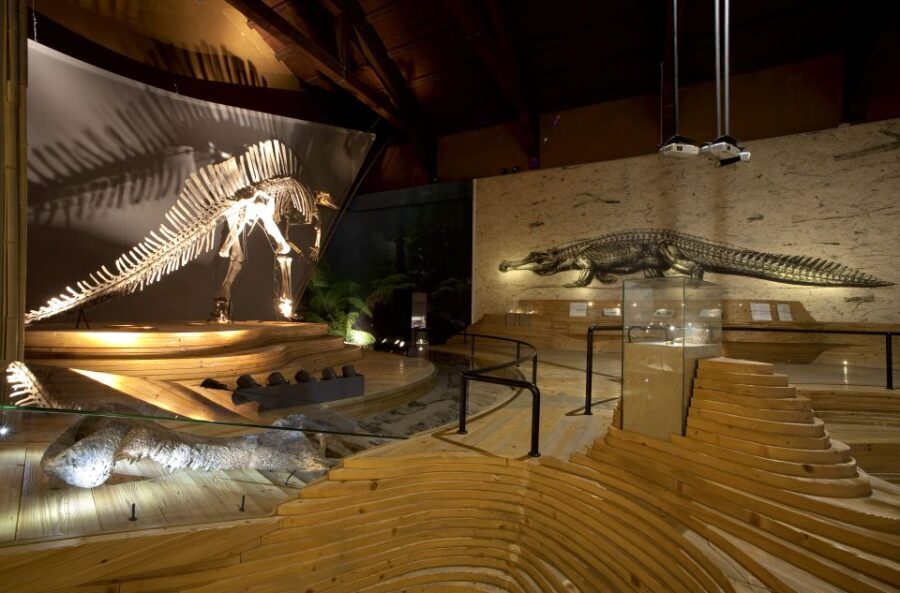 Venice: Natural History Museum Entry Ticket