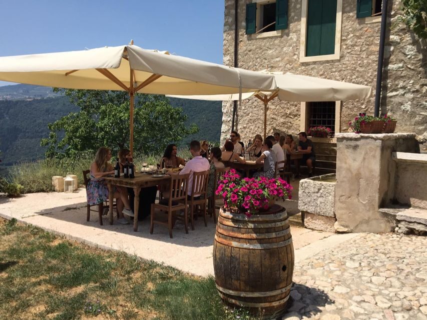 Verona: Vineyard and Winery Tour with Wine Tasting - An In-Depth Look at the Experience