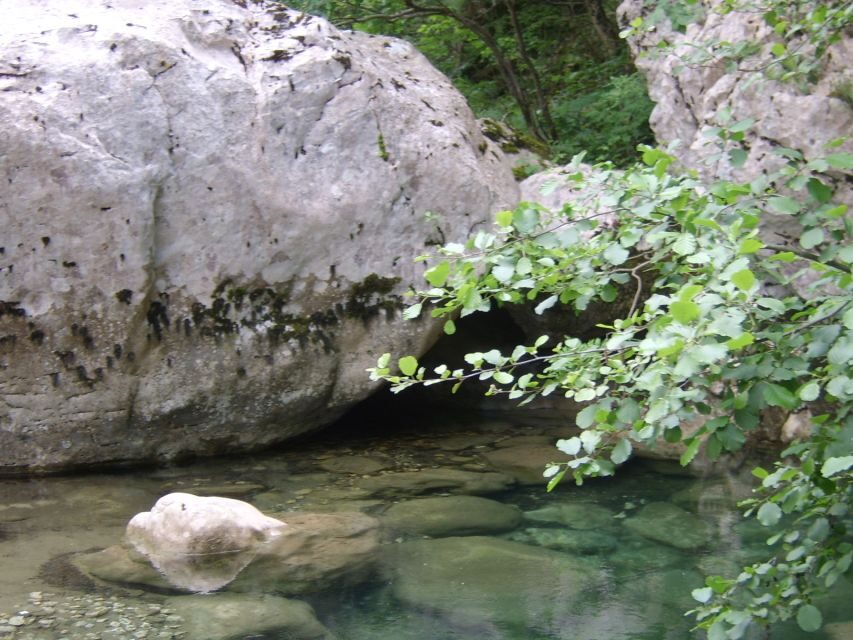Vikos Gorge Full-Day Guided Hike