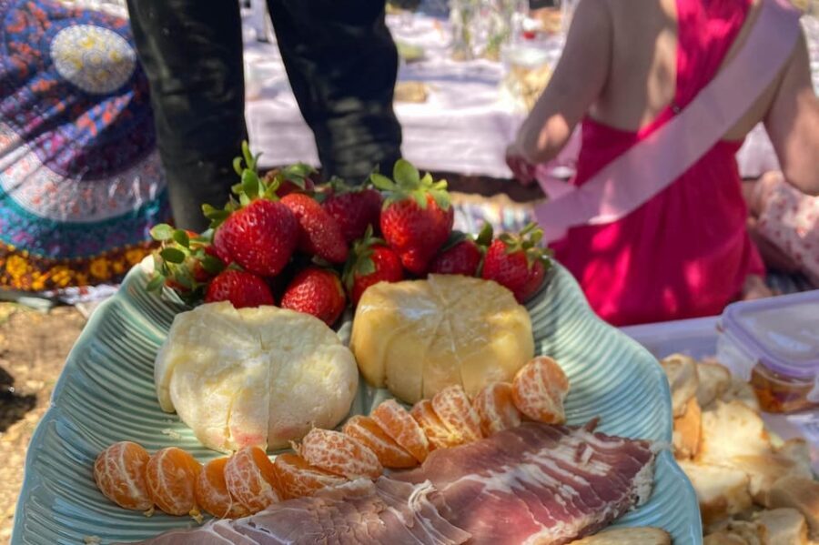 Vilamoura, Albufeira, Lagos: Algarve Mountains Private Tour - What You Need to Know: Practical Details