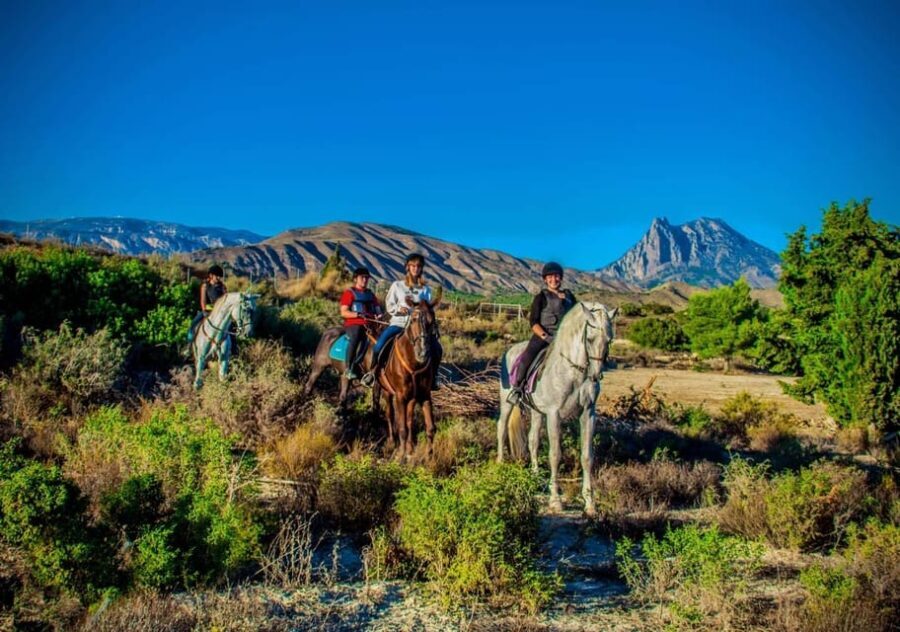 Villajoyosa Horseback Riding in the Mountains with sea views