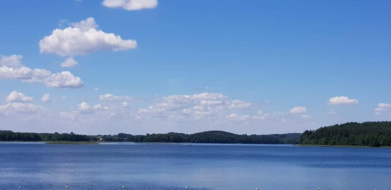 Vilnius: Trakai Castle Half-Day Tour by minivan