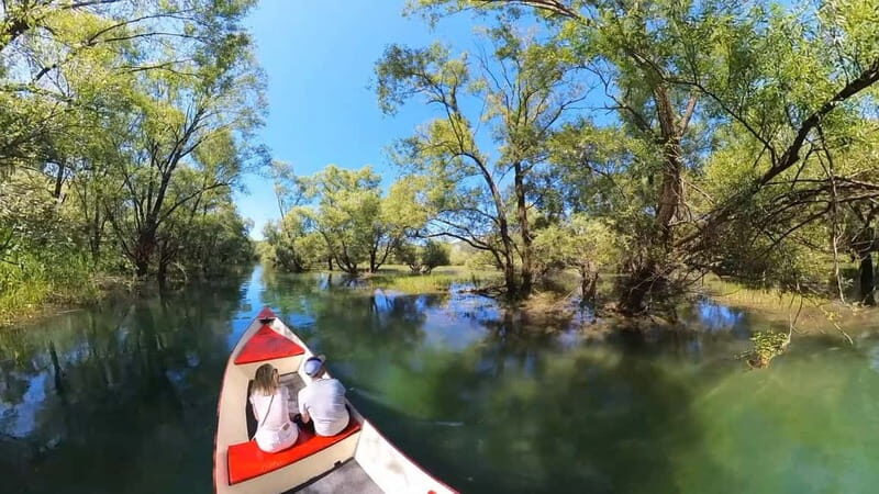 Virpazar: Amazon wilderness speed boat cruise