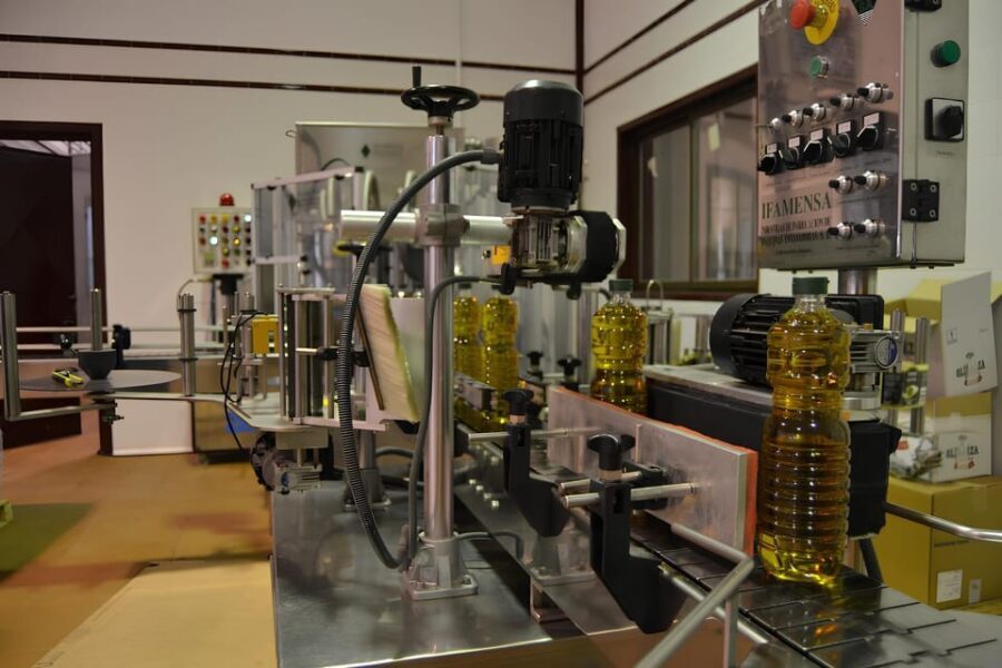 Visit an almazara + extra virgin olive oil tasting: Baeza