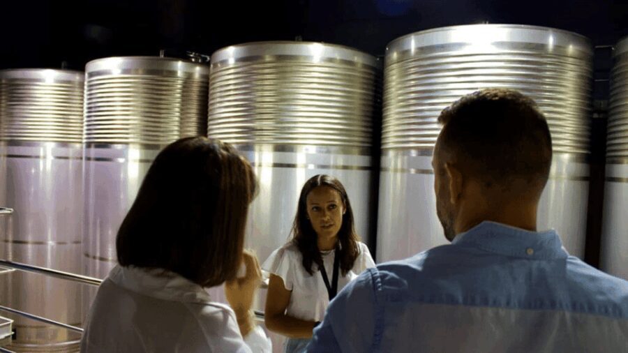 Visit to the Adegas Valmiñor winery and tasting