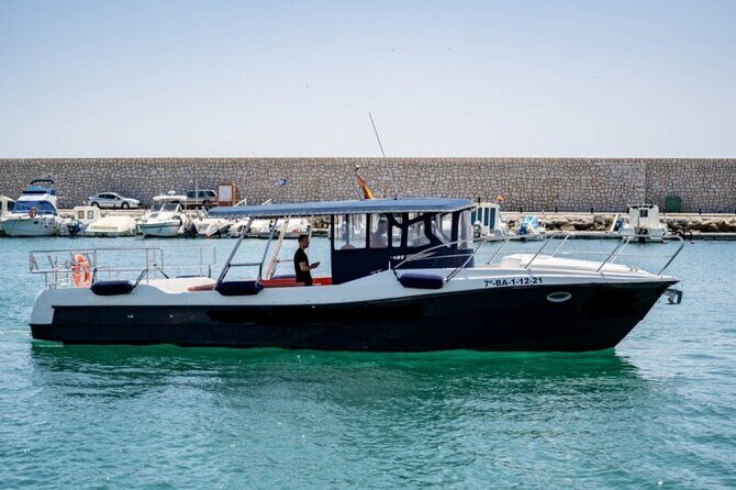 Walk and dolphin watching in Fuengirola + 1 drink