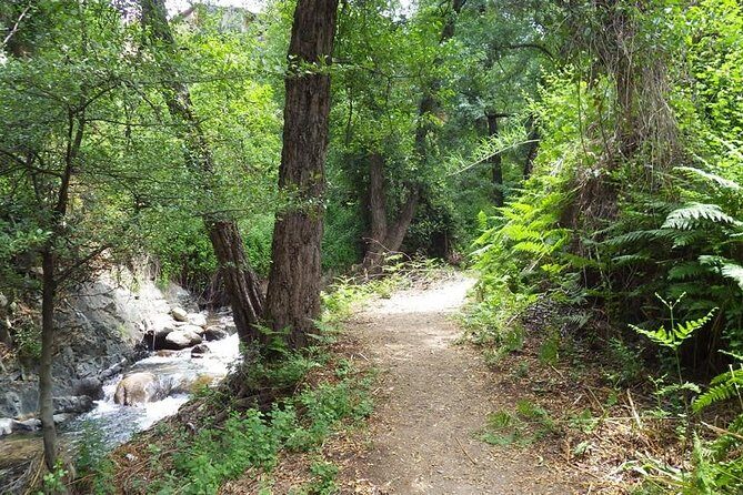 Walk on Artemis trail and in Old Kakopetria