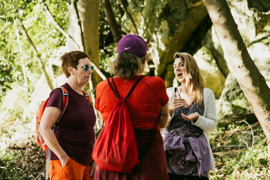 Walking tour:Pena Palace, Moorish Castle,Quinta da Regaleira