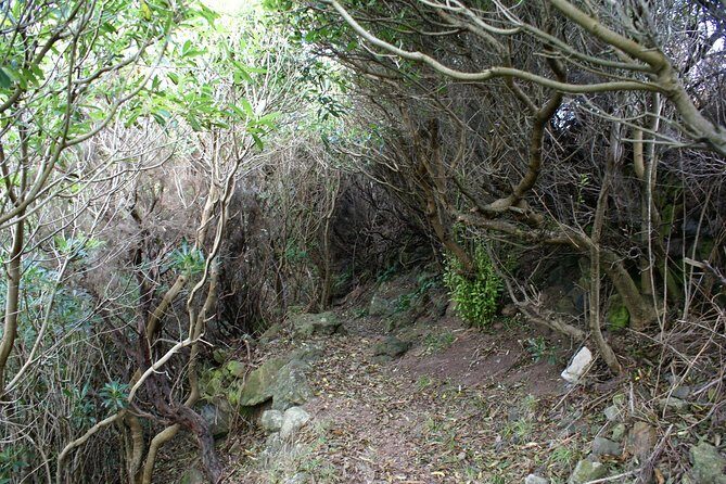 Walking Trails of Terceira