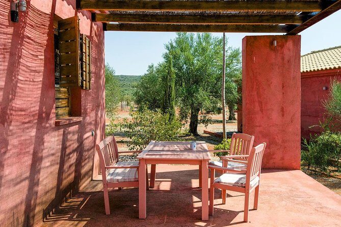 WIne & Olive Oil Tasting in an Organic Farm in Laconia, Greece!