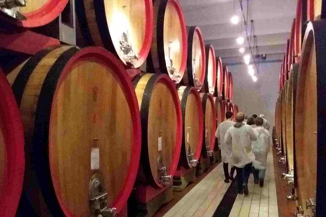 Wine Tasting, Dinner and Cooking Class Under the Sunset