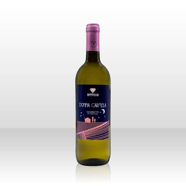 Wine tasting in the cellar - The Wines: A Focus on Excellence