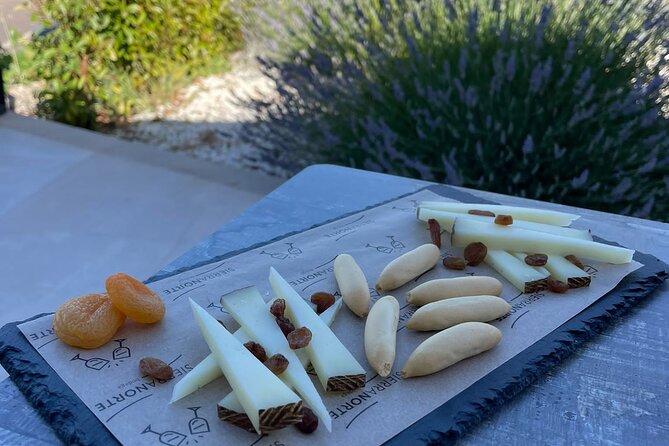 Wine tasting tour - An Authentic Wine Experience Near Valencia: What You Need to Know