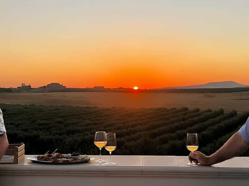 Wine tasting under the Stars in the vineyards of Agrigento