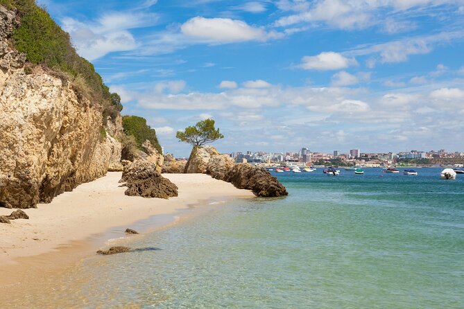 Wine Tour in Azeitão and Setúbal with Arrábida Beaches - Comprehensive Review of the Wine Tour in Azeitão and Setúbal with Arrábida Beaches