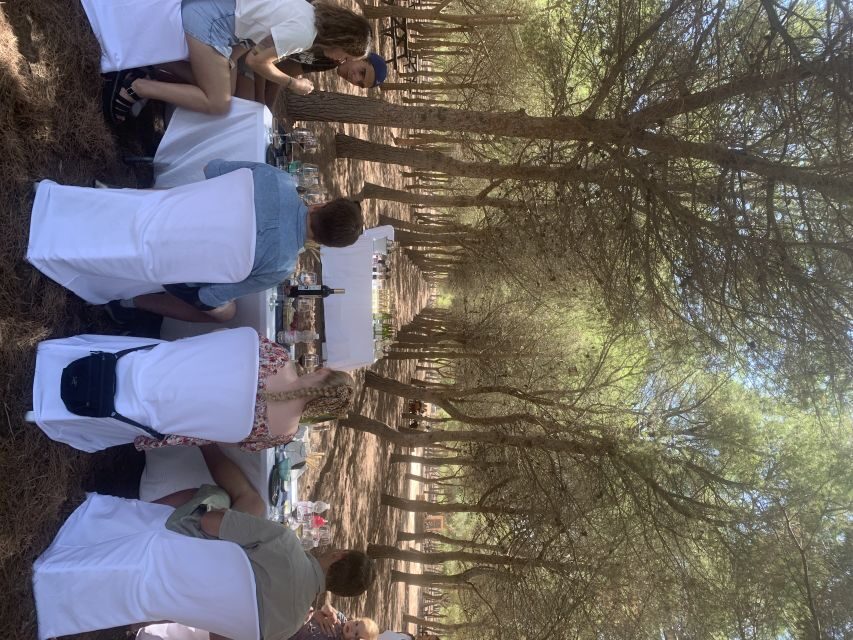 Wine Tour through the vineyards with tasting by Salt Lake