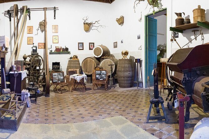 Winery Tour, Wine Museum, and Tasting in Gran Canaria