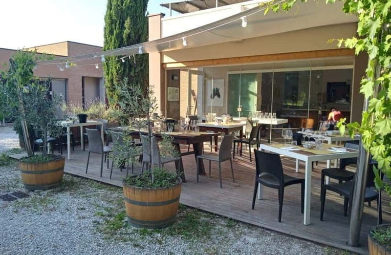 Winery Tour with Wine & Food Tasting near Riccione & Rimini