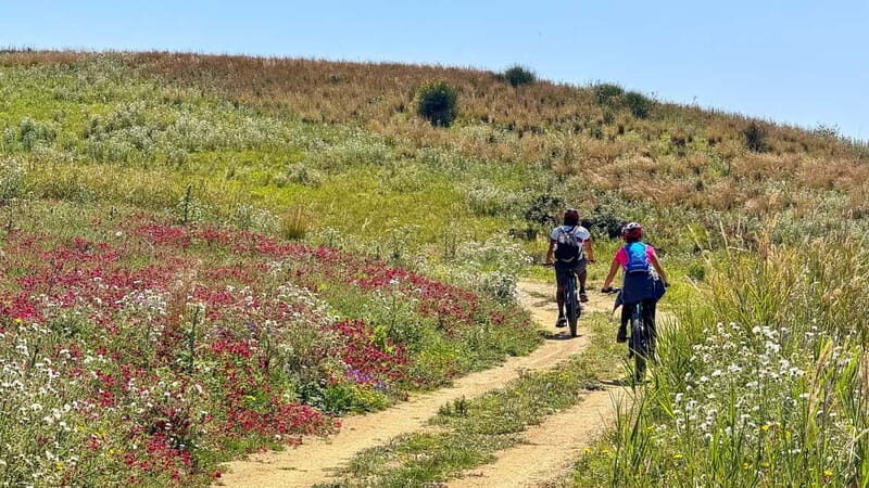 WWF E-BIKE TOUR | Riserva Naturale di Torre Salsa Con pranzo