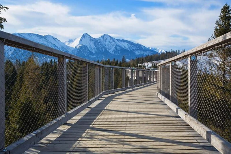 Zakopane: Treetop Walk & Niedzica Castle Private Tour