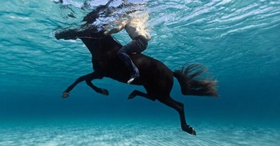 Zakynthos: Yotomu Horseback Riding Tour - Detailed Breakdown of the Itinerary