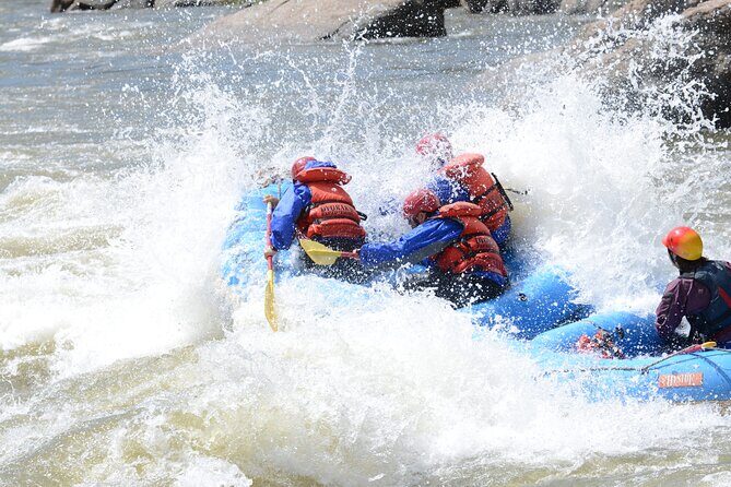 1-Day Arkansas River - Bighorn Sheep Canyon Trip - Detailed Breakdown of the Itinerary