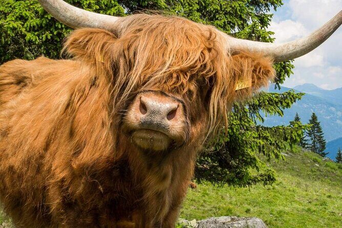 3 Day - Isle of Skye, Loch Ness & Glenfinnan Tour from Edinburgh