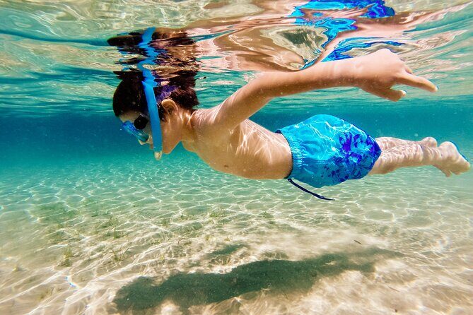 3h Private Cruise + Drinks, Snorkel & Paddle