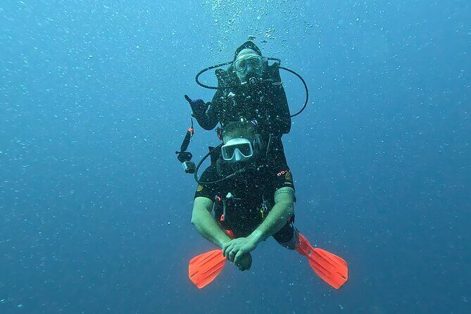 4 Hour Guided Scuba Diving Adventures in Waikiki - What to Expect from Your Waikiki Scuba Adventure