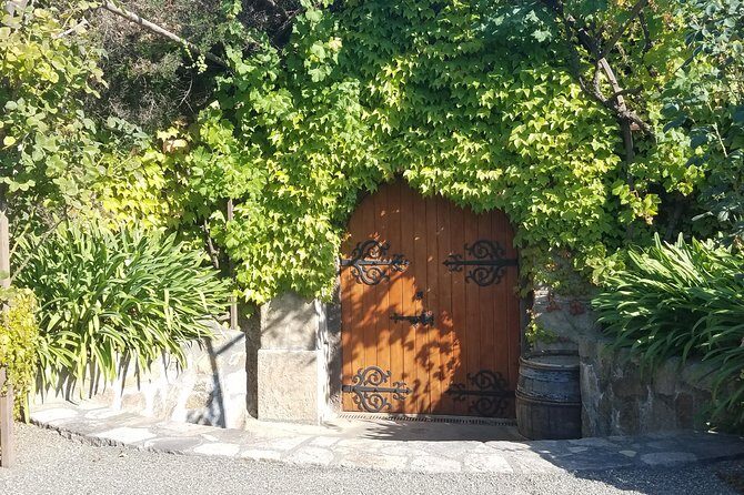 8 Hour Private Tour in Napa Valley Winery - What Travelers Are Saying: Authentic Perspectives