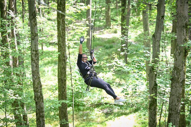 Aerial Adventure Park Admission - What to Expect from Your Adventure