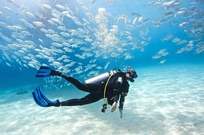 Alanya Scuba Diving With Lunch and Transfer