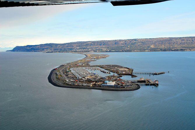 Alaska Bear-Viewing Day Trip from Homer - How the Cost Adds Up & What You’re Getting