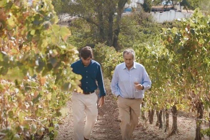 Alentejo Wine Tour from Évora